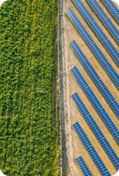 Sustainability at Planet One Group