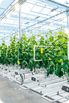 Sustainability at Planet One Group